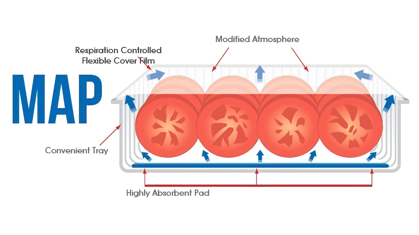 How Does Modified Atmosphere Packaging (MAP) Keep Food Fresh